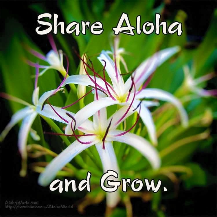 Recipe ~ Philippine Mafran (or Jufran) Sauce, a most versatile ...